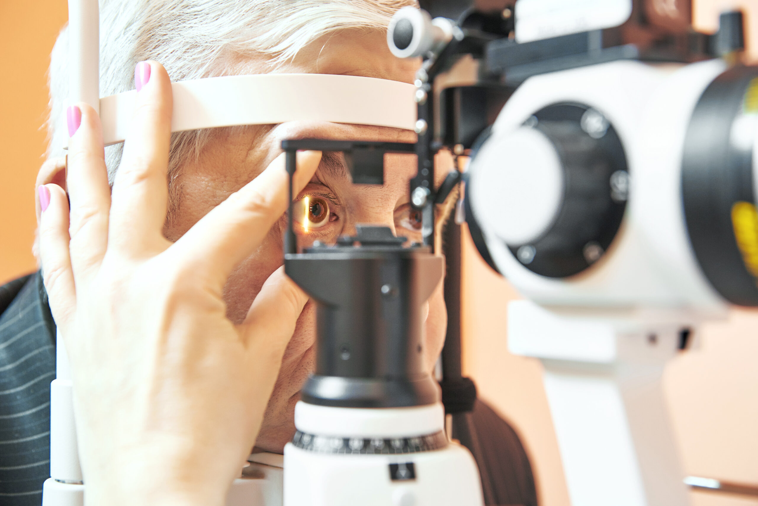 Visual field change after 25 years comparable in glaucoma patients ...