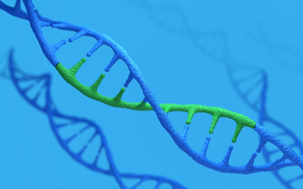 Research reveals genetic links to AMD severity and key high-risk ...