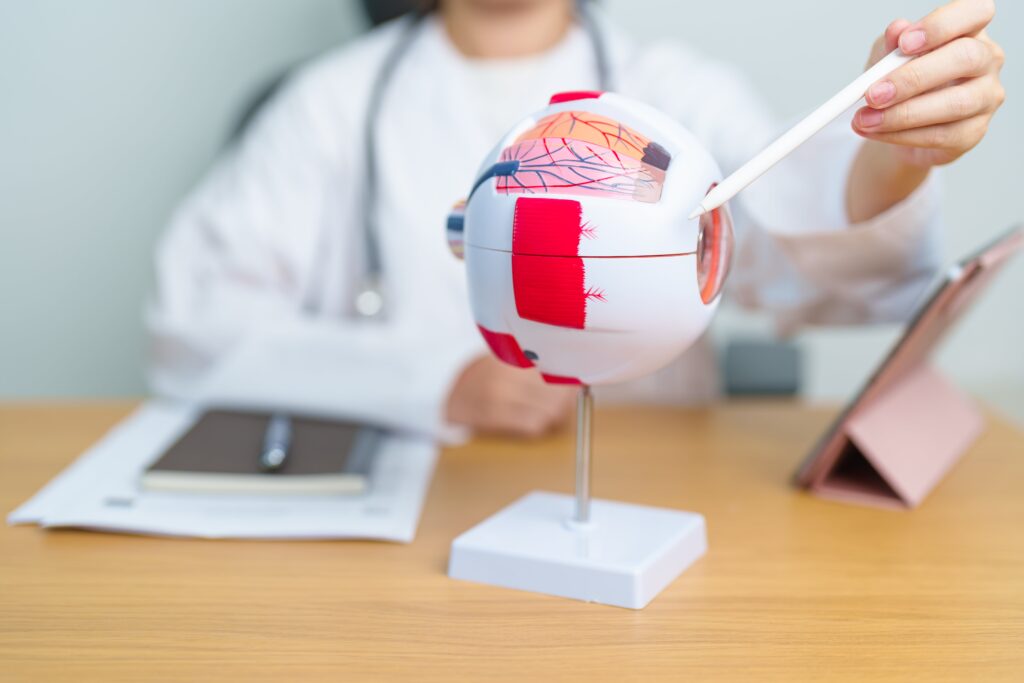 Genetic Links Explored: How inherited retinal dystrophies affect ...