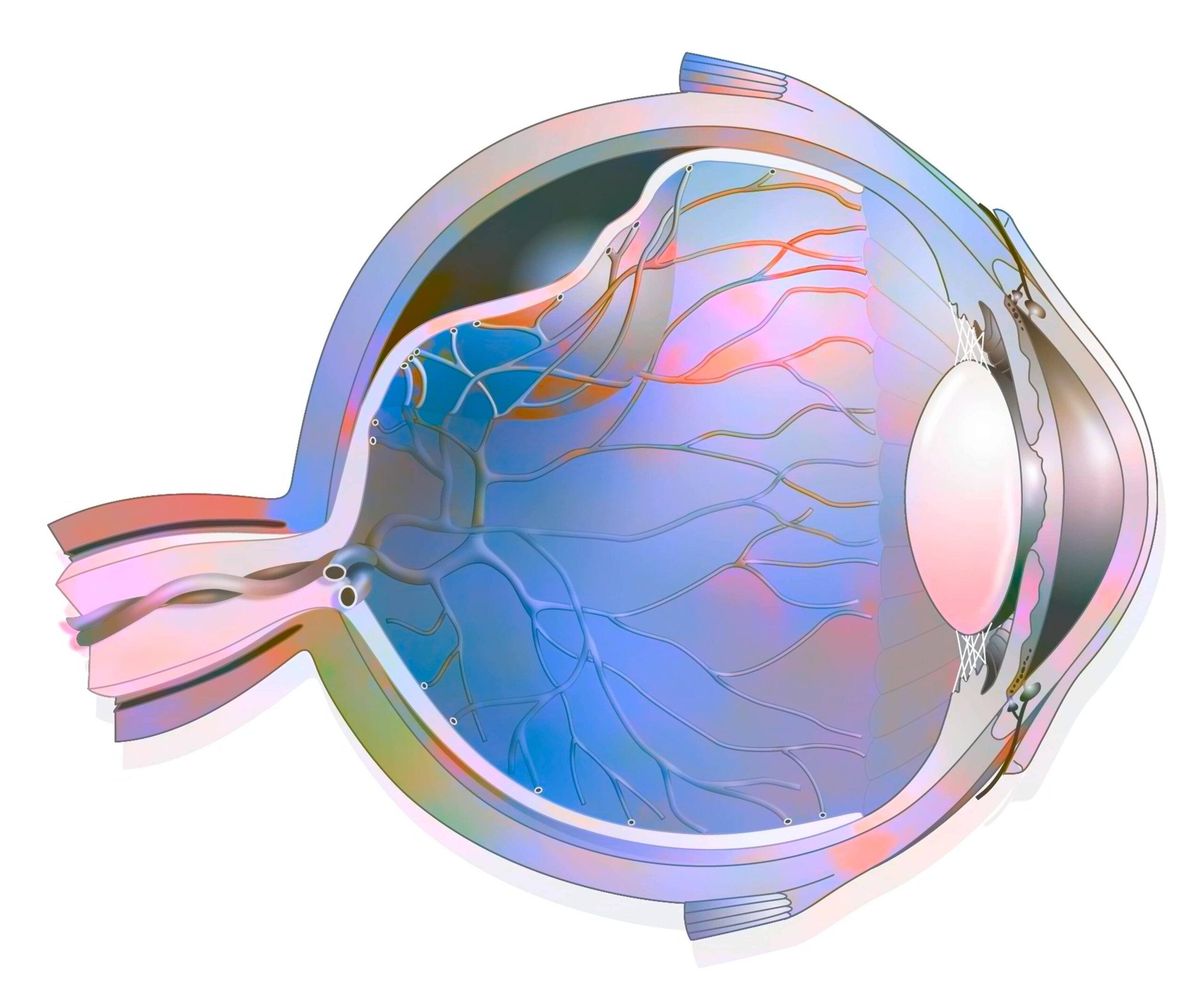Serial methotrexate injections show promise in recurrent retinal ...